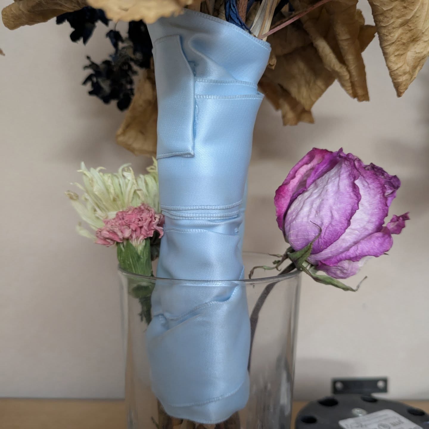 March Newsletter 2025 | Chelsey M. Ortega