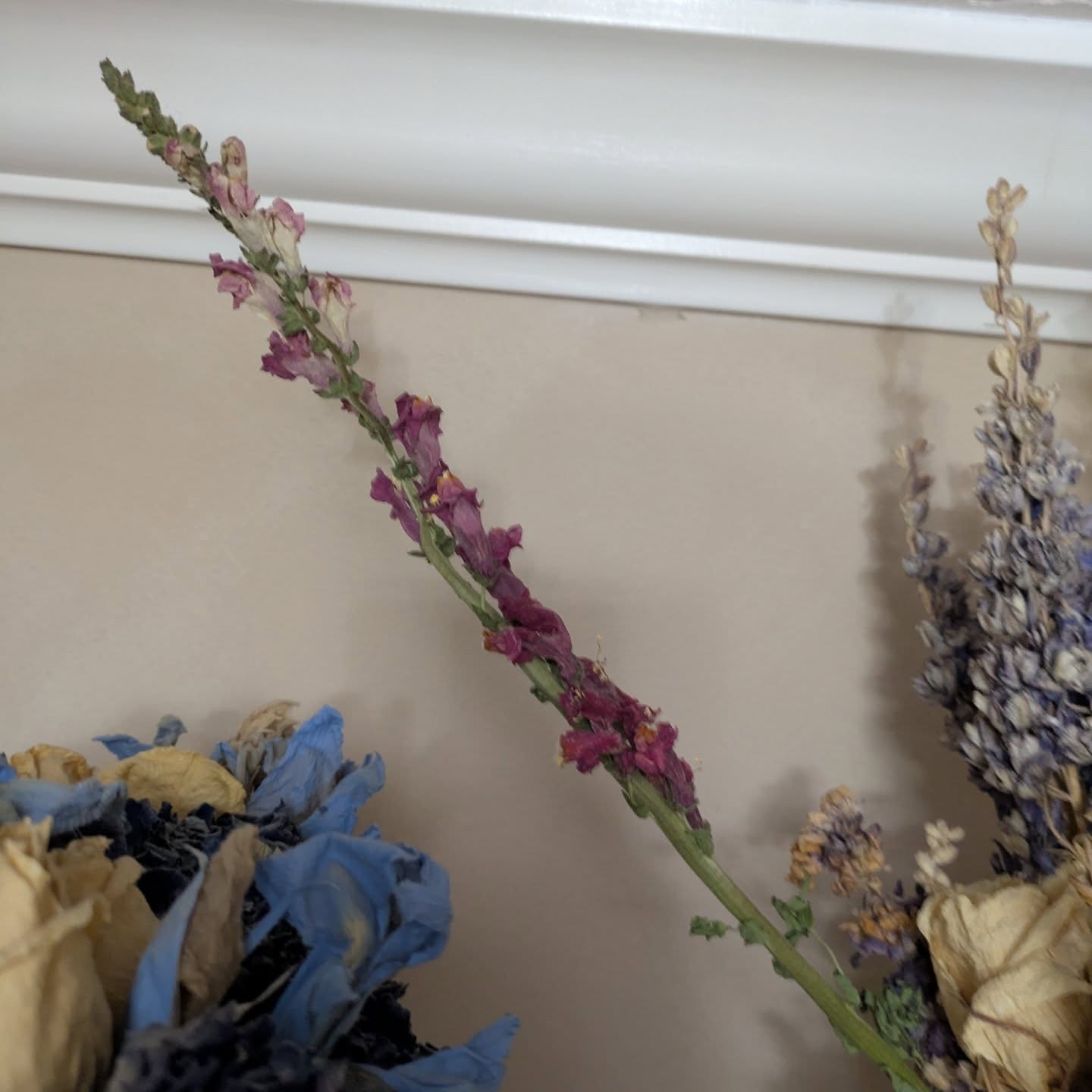 March Newsletter 2025 | Chelsey M. Ortega